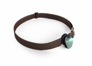 Baha® Start | Cochlear